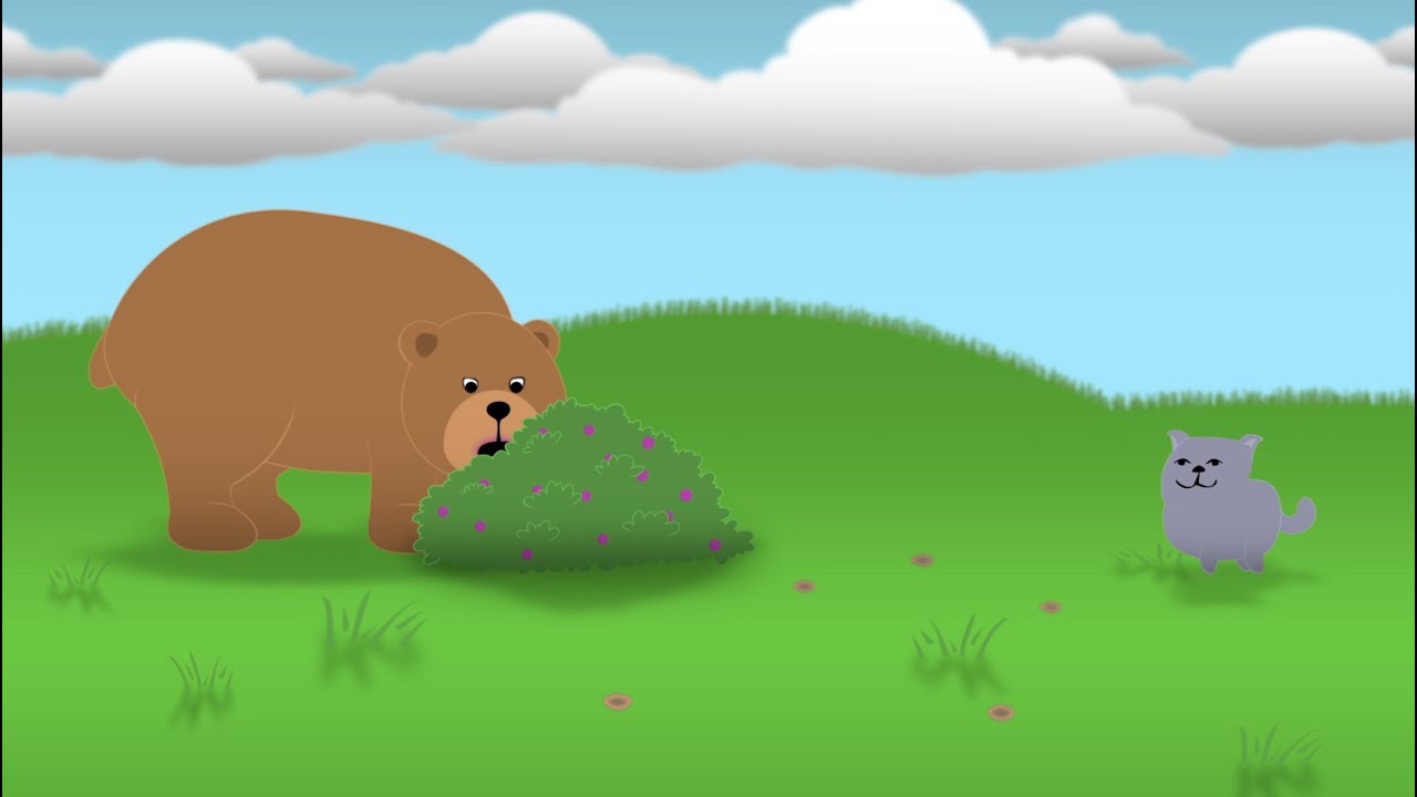 The Grumpy Bear - YouTube