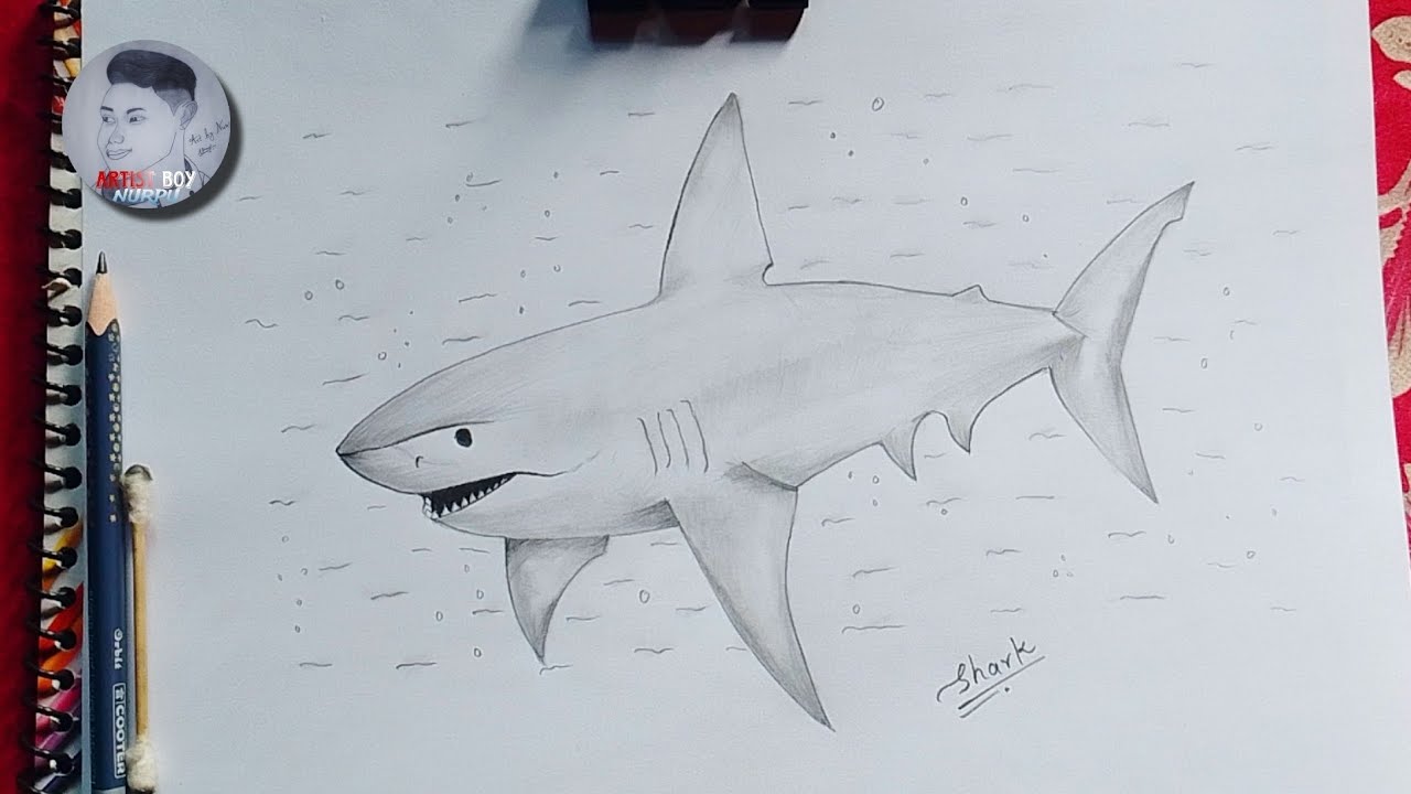 How to draw the shark | Realistic drawing with pencil | Artist Boy ...