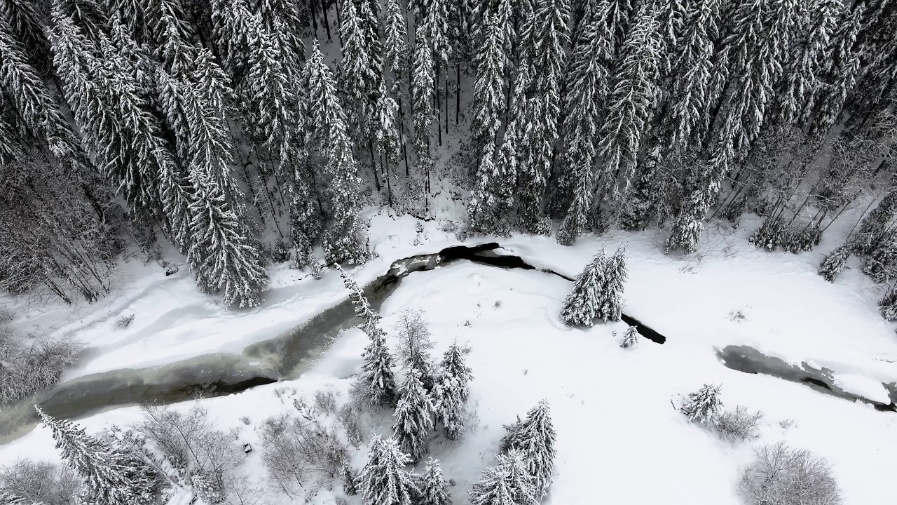 Winter in Bilbor, Romania 4K - YouTube