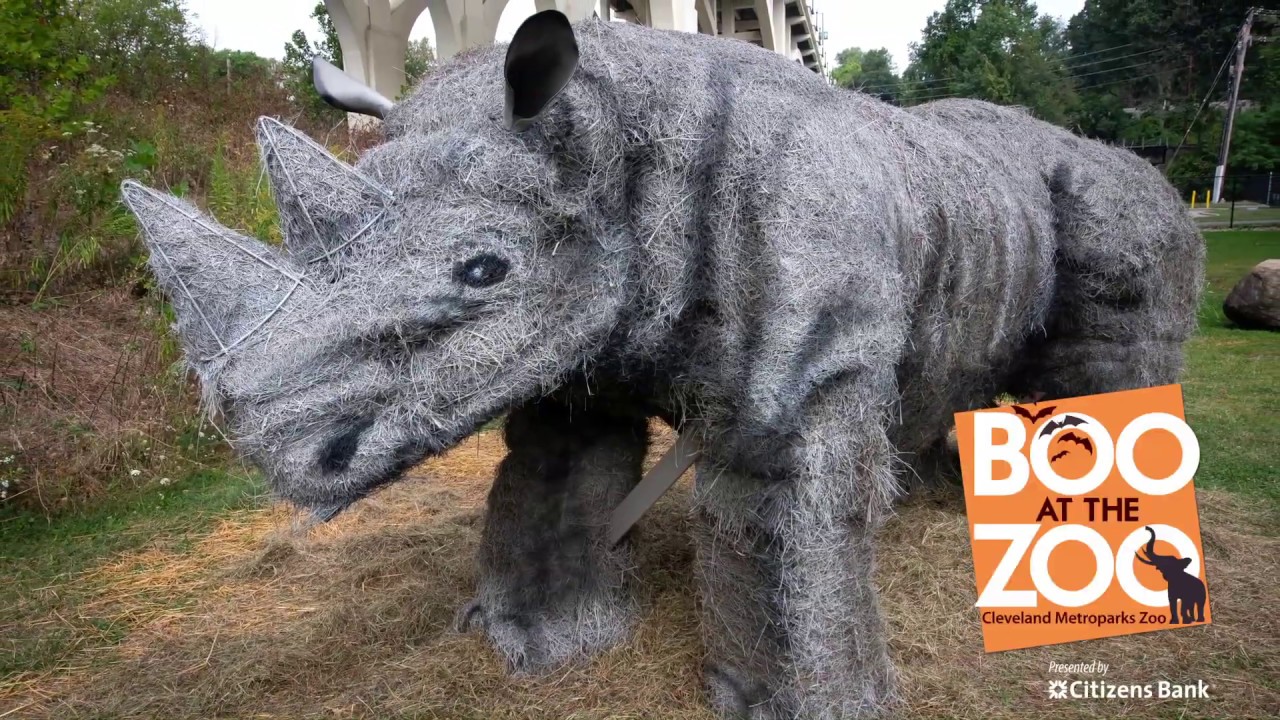 Boo At The Zoo - Rhino Sculpture - YouTube
