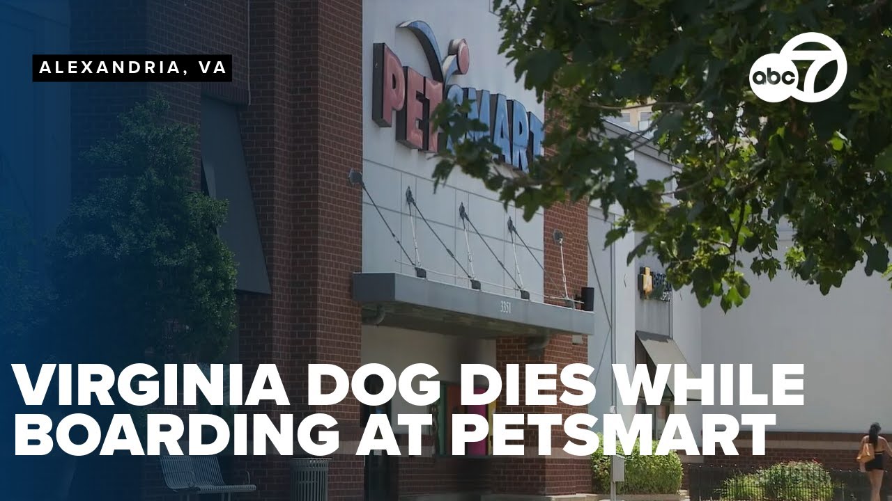 Virginia man seeks answers after his dog dies while boarding at ...
