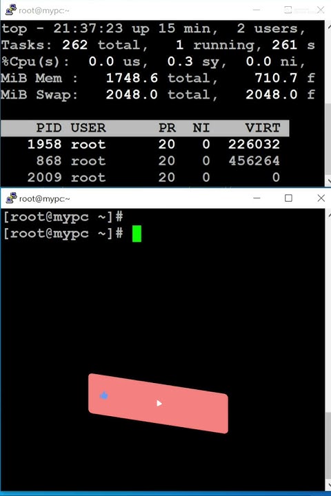 Command 🤩 to Find Only PID 🔥 of a Service or Command | RHEL/CentOS #linux #shorts #viralshorts ...