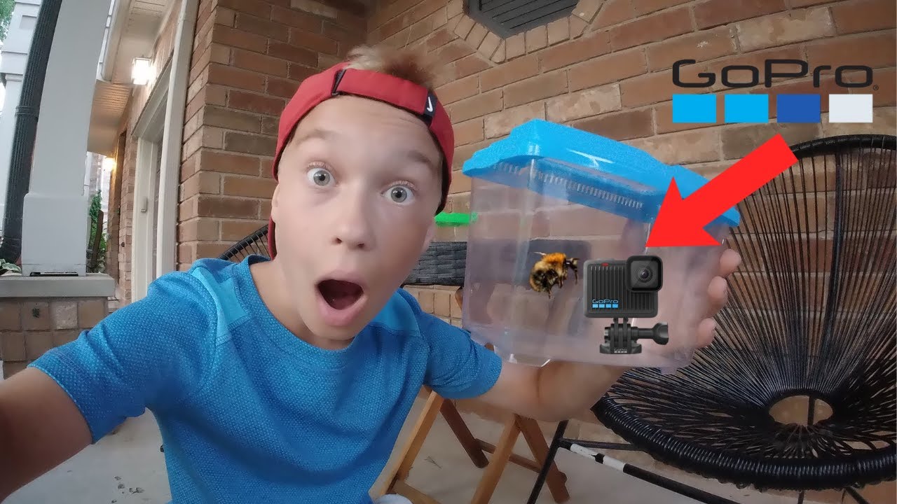 I Put A GoPro With a Bumblebee! - YouTube