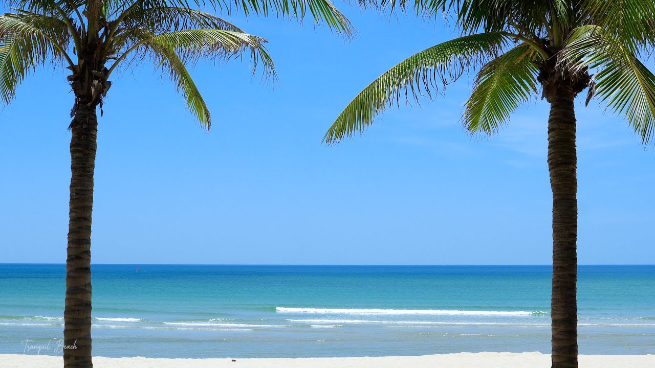The Perfect Paradise Beach Scene, White Sand, Blue Water & Waves - 10 ...