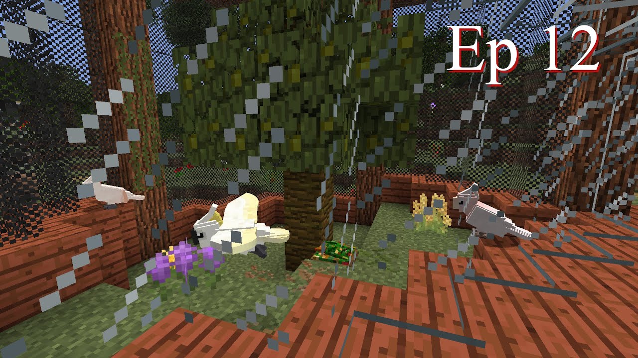 Building My Dream Zoo in Minecraft Ep 12 | Adding an Aviary! - YouTube