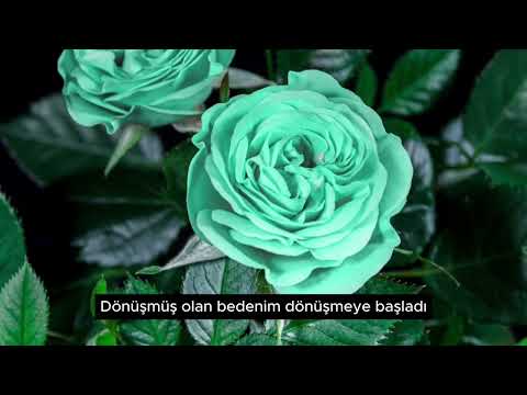 Bir Gün Gelir.. #sevgili #ayrılık #pişmanlık #özlem #aşk