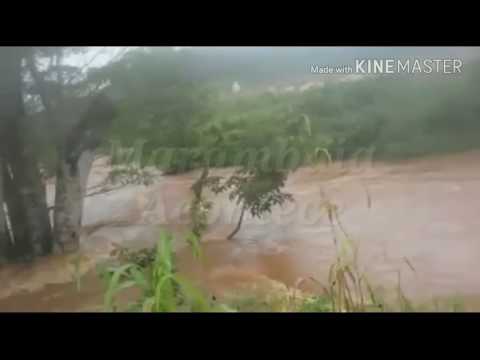 Garoto nu se esconde em árvore após chuva forte em Parauapebas no Pará