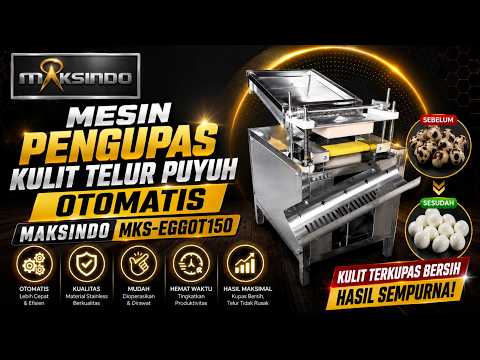 Mesin Pengupas Kulit Telur Puyuh Otomatis Maksindo MKS-EGGOT150 | Kupas Hingga 15.000 Butir/Jam!