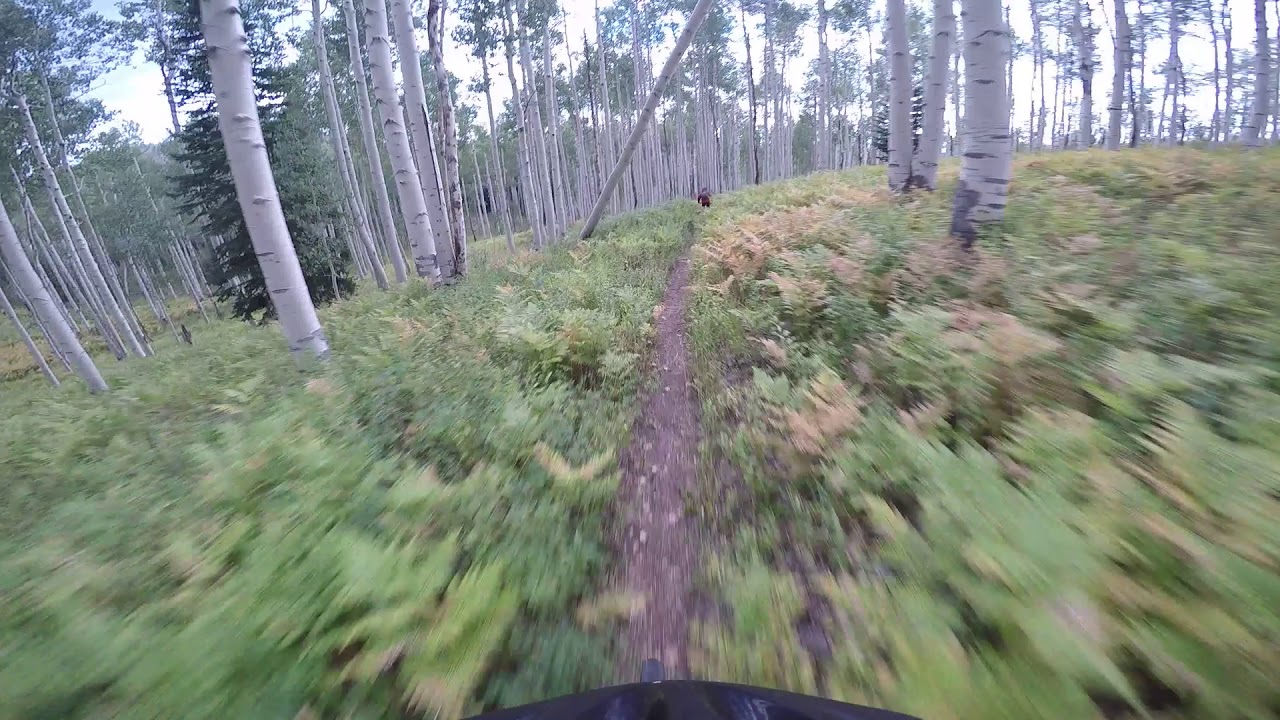 Raptor Trees - YouTube
