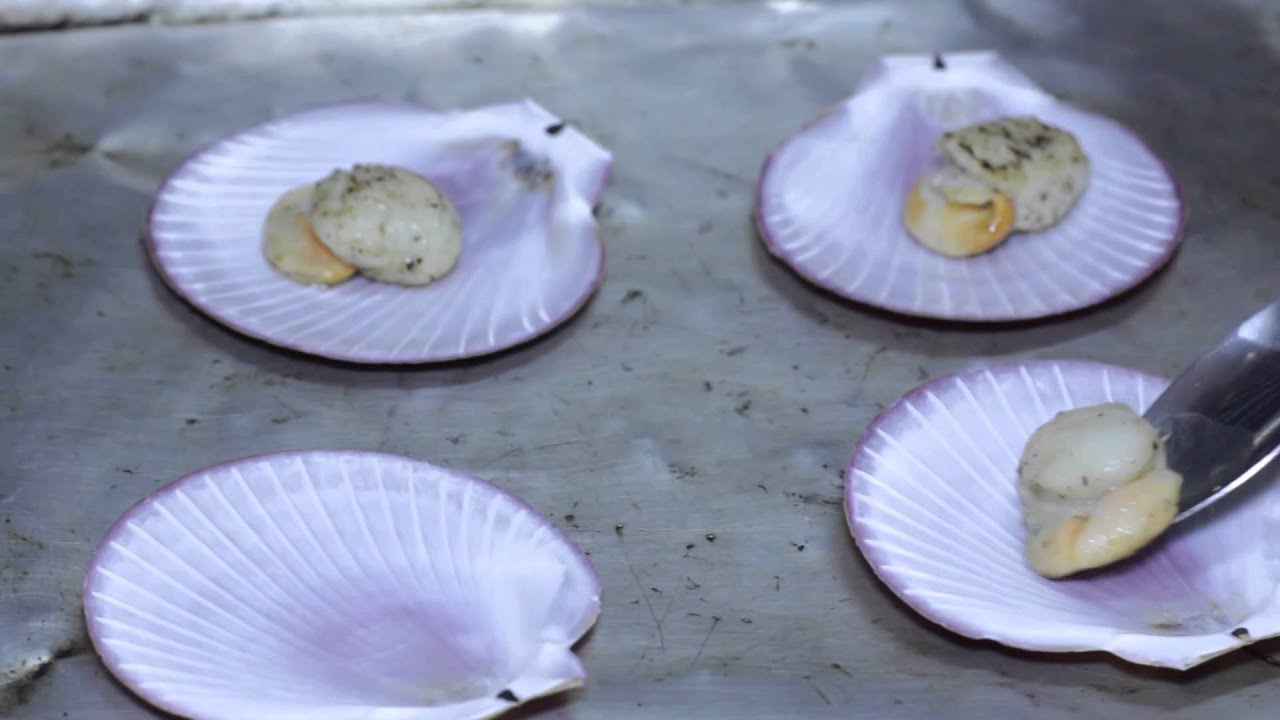 Scallops Gratin on rock salt - YouTube
