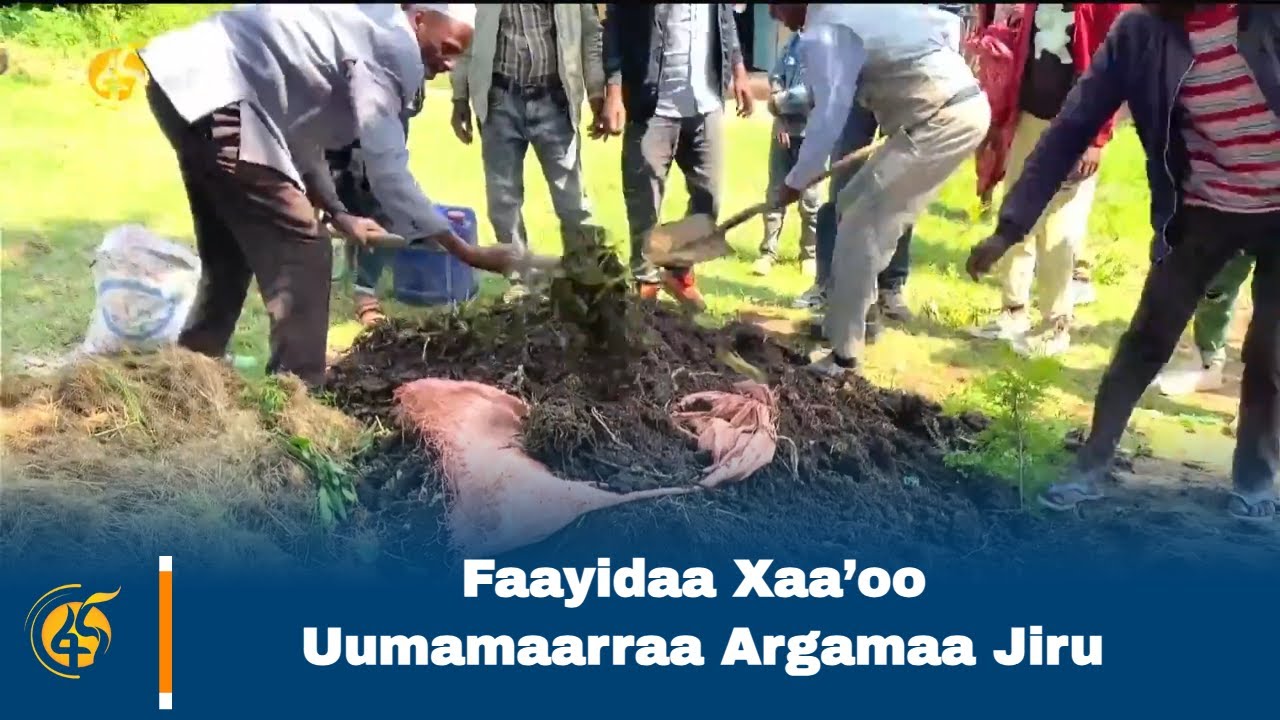Faayidaa Xaa’oo Uumamaarraa Argamaa Jiru - YouTube