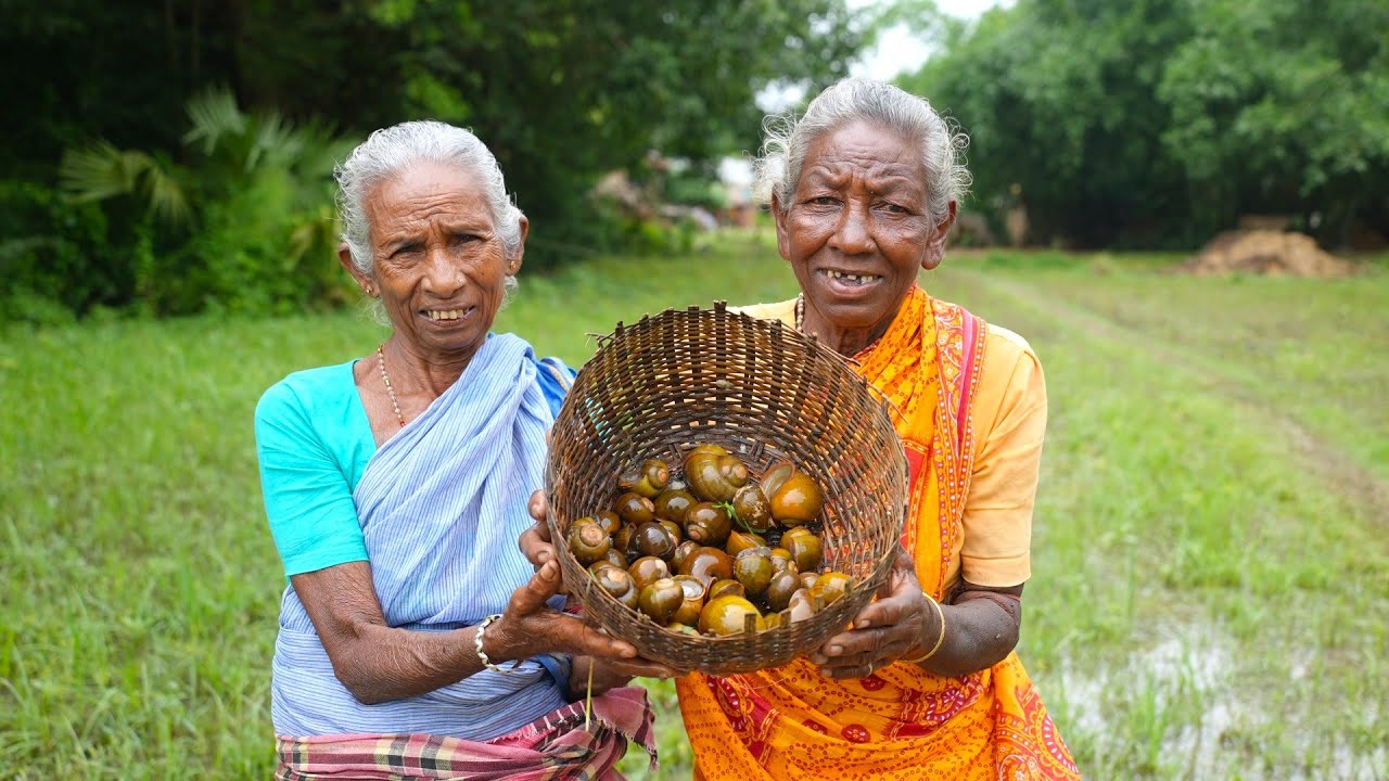 Find and Cooking KING SNAIL by tribal Grandmothers | How to cook King ...