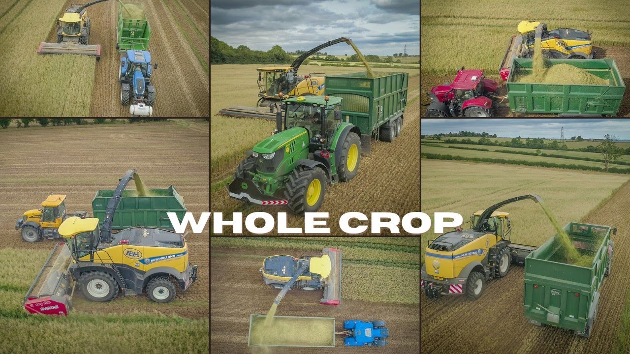 New Holland FR550 Forage Cruiser & Capello Spartan Direct Cut Header ...