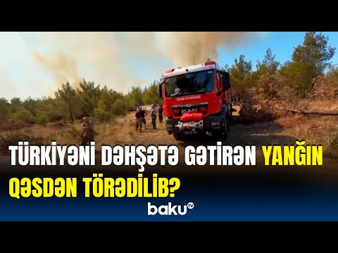 Türkiyədə qorxulu yanğın | 648 yanğınsöndürən maşın, 16 helikopter əraziyə cəlb edildi