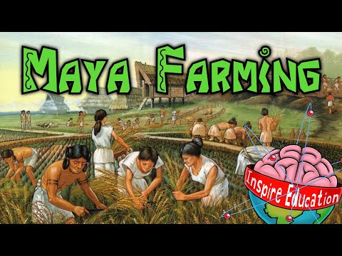 Ingenious Techniques of Maya Farming