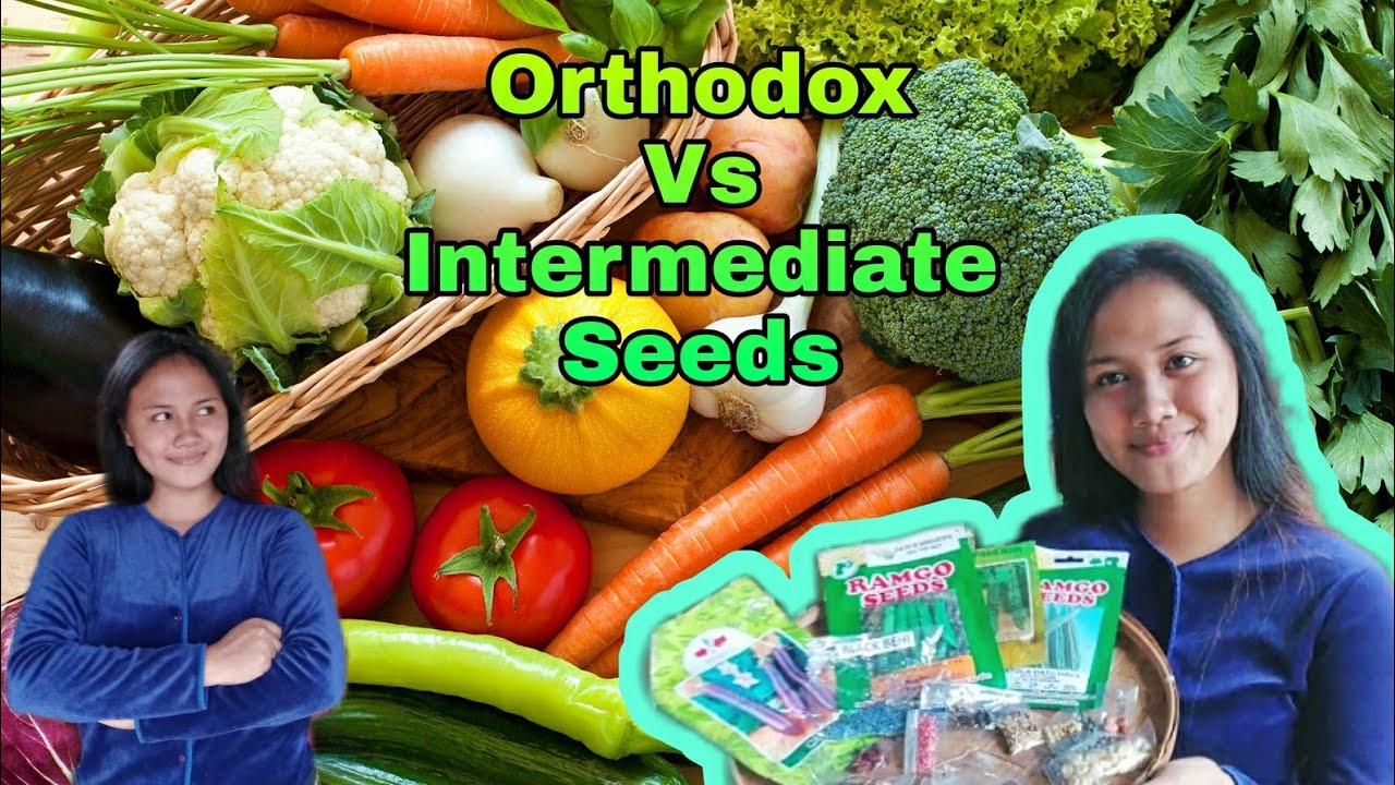 Orthodox Vs Intermediate Seeds - YouTube