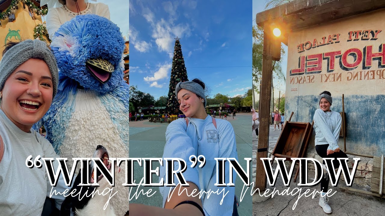 Bunny met a PENGUIN!! | The Young Tot Vlogs - YouTube