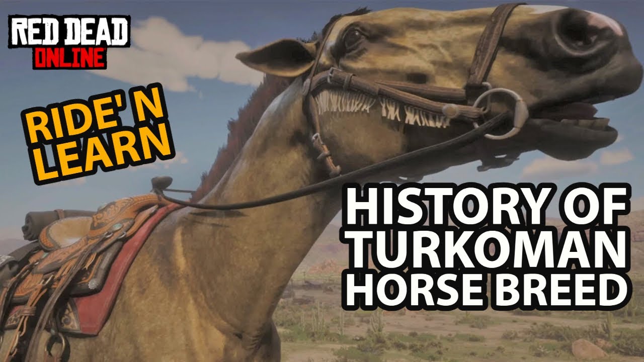 History of Turkoman Horse Breed Ride 'n Learn in Red Dead Online - YouTube
