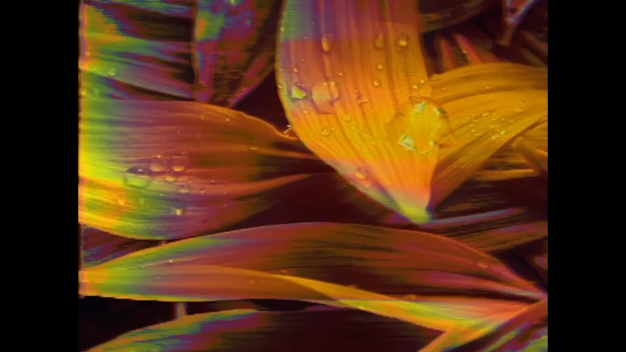 IMANU - Unfold LP modulated by IMANU - Hallowvale - YouTube