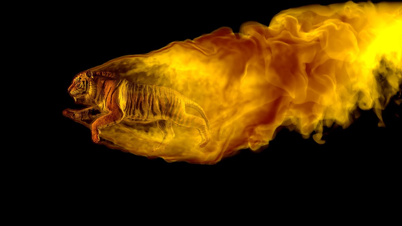 Real Tiger Running In Fire - Animation 4K - YouTube