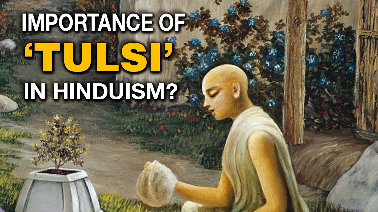 Importance of Tulsi In Hinduism | Artha - YouTube