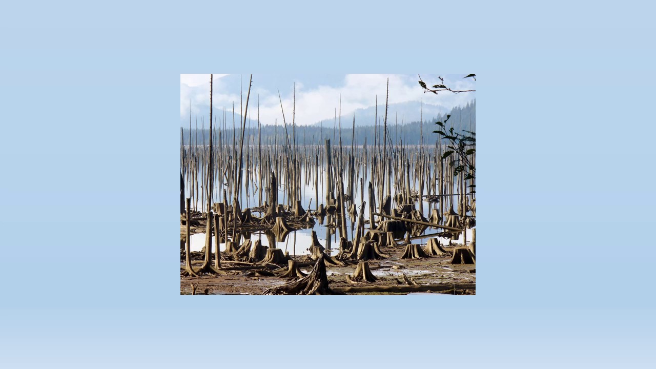 Dan Marsland Celebration of Life Movie - YouTube