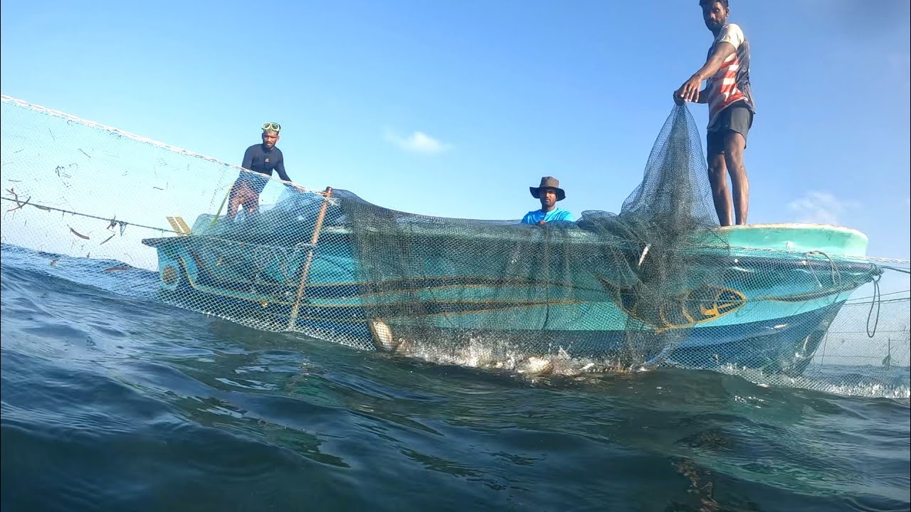 UNBELIEVABLE FISHING METHOD, Diving DEEPLY In Sea Without Oxygen Tanks ...