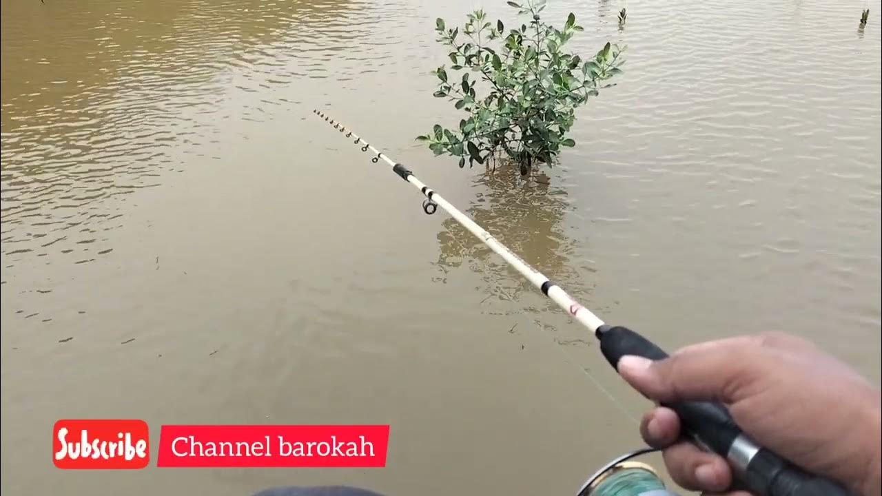 MANCING IKAN SEMBILANG DI MUARA BENGALON - YouTube