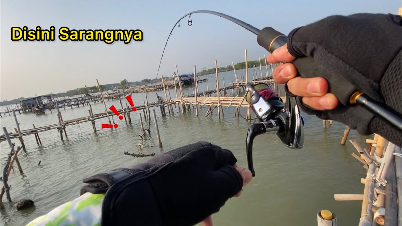 Mancing Dasaran di Rumpon Pak Iskandar_Dari Dulu Ikan Rucahnya Selalu ...