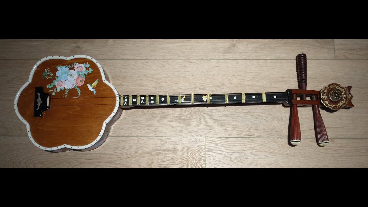 Dan Sen - Vietnam - YouTube