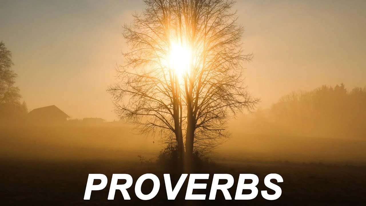 Proverbs 24:1-22, Thirty Sayings of the Wise (20-30) - YouTube