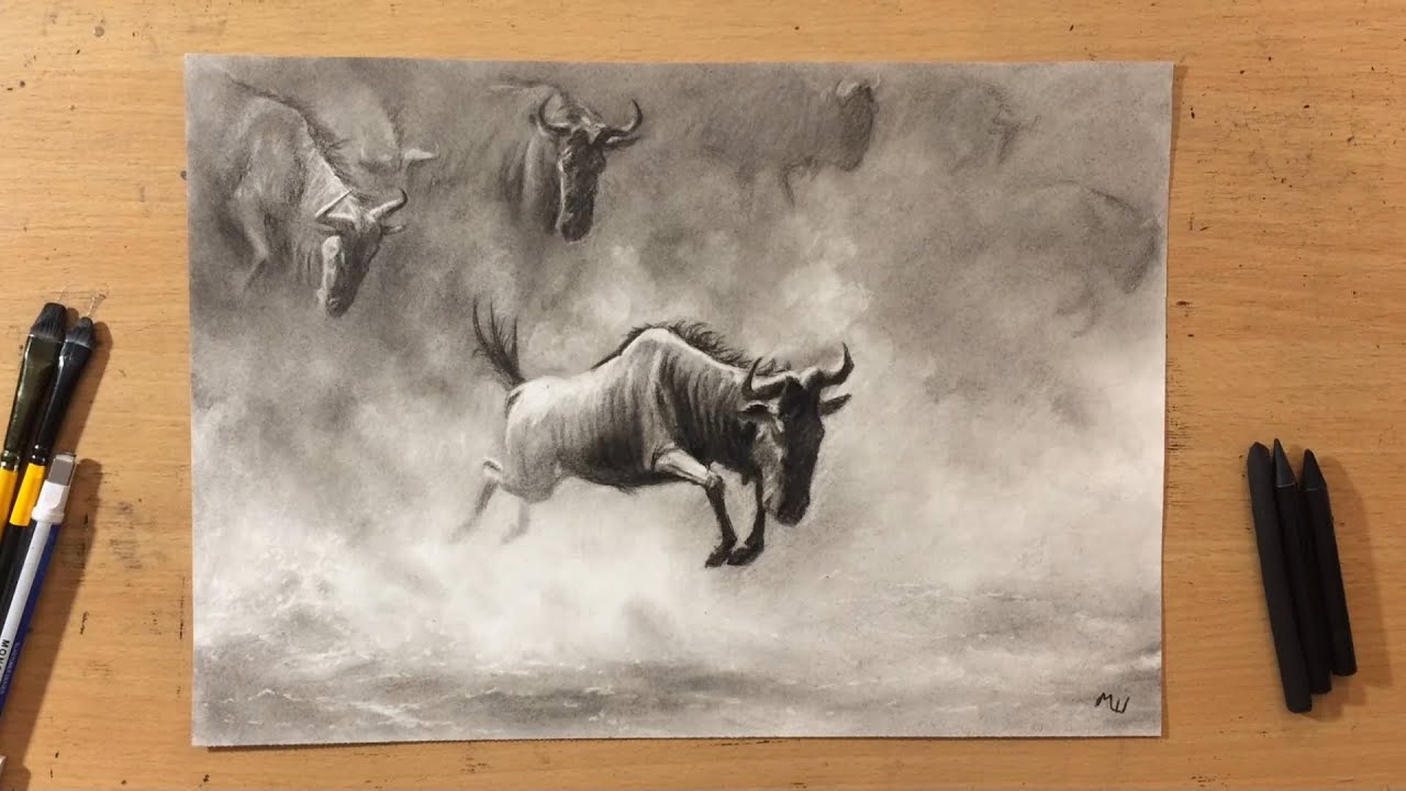 Herd of Wildebeest - Charcoal Drawing - YouTube