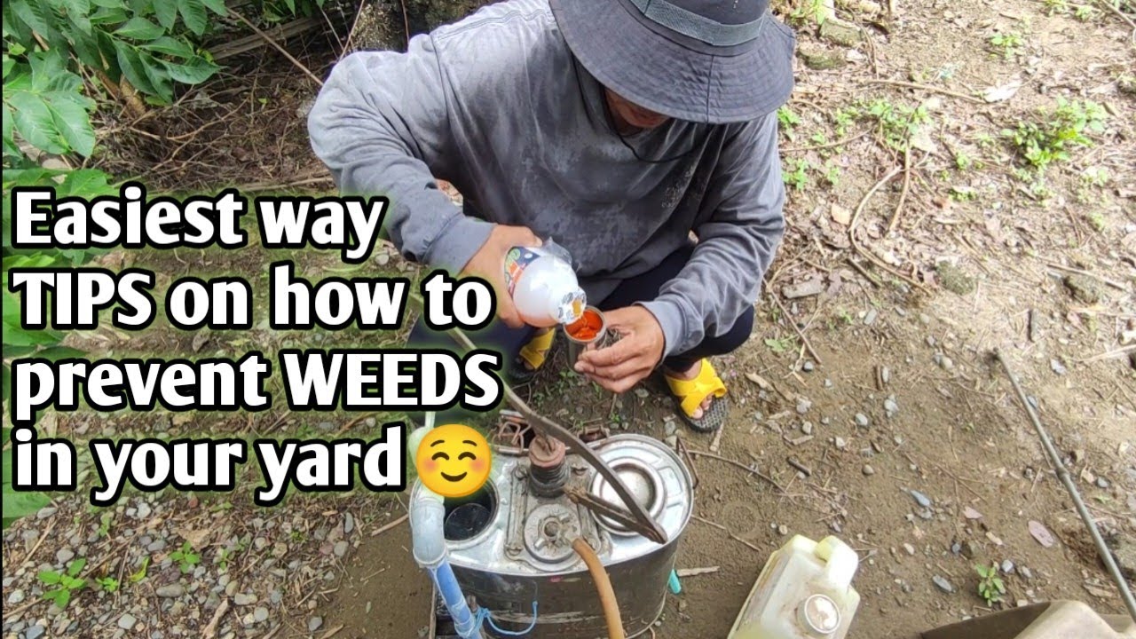 EASIEST Way On How To Prevent WEEDS In Your Yard #allantv - YouTube