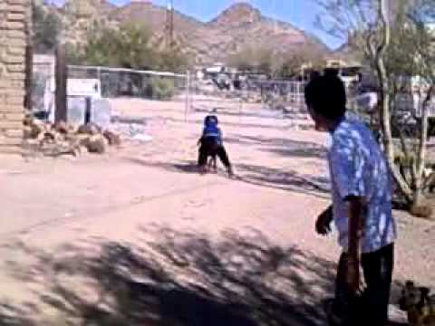 kid riding dog - YouTube