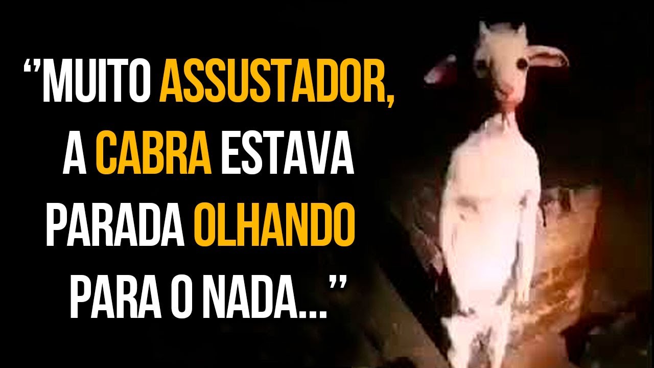 CABRA ASSUSTADORA EM PÉ - YouTube