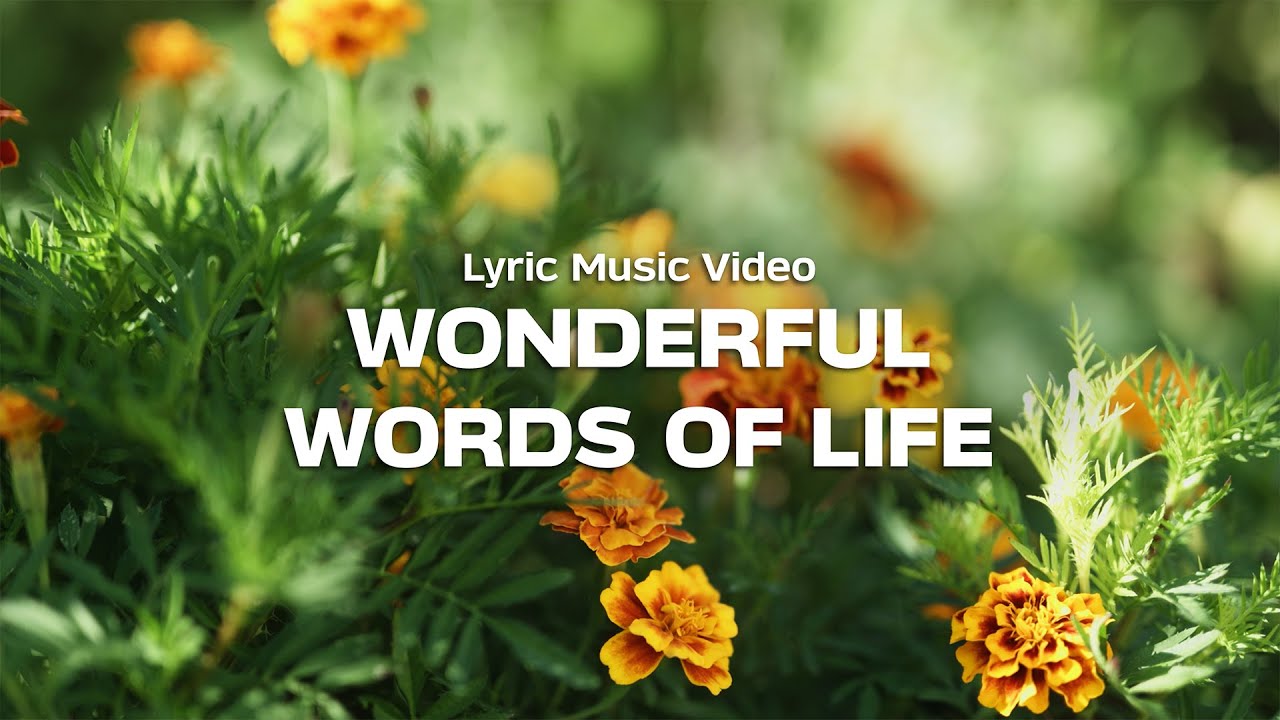 Wonderful Words of Life | Lyric Video - YouTube