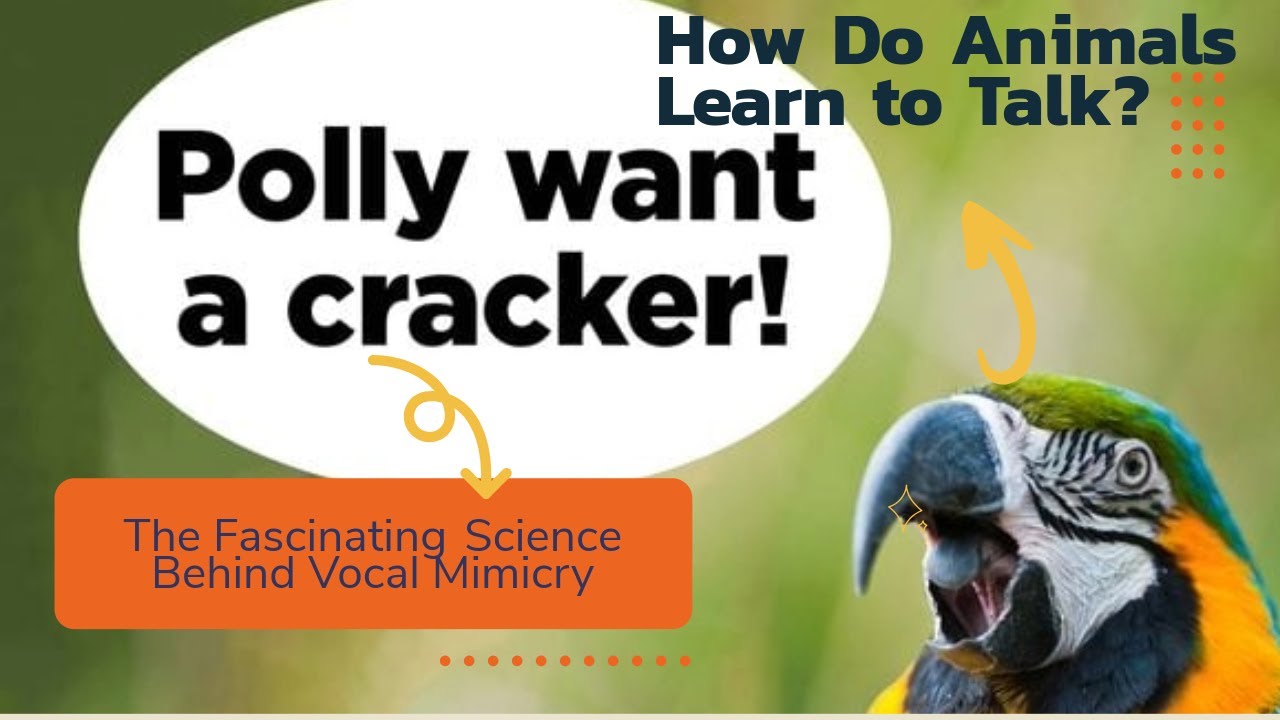 How Do Animals Learn to Talk? The Fascinating Science Behind Vocal ...