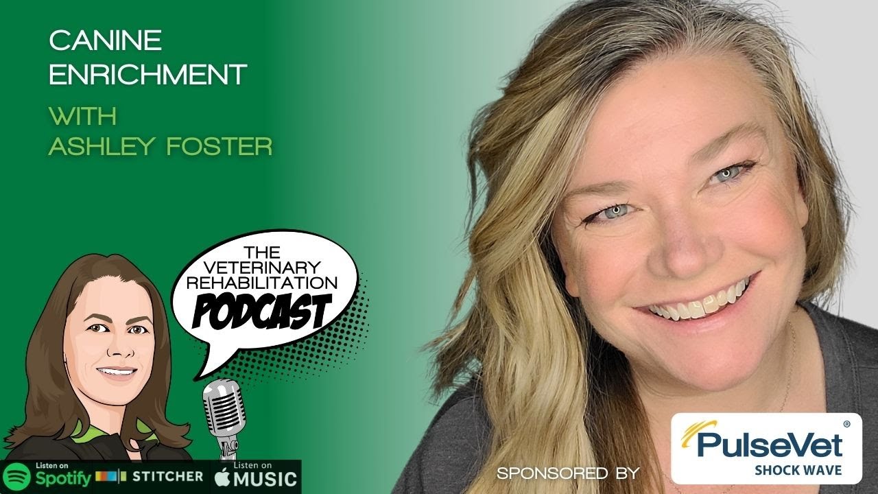 Canine Enrichment, with Ashley Foster - YouTube
