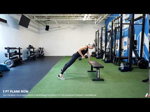 3 Pt DB Plank Row - YouTube