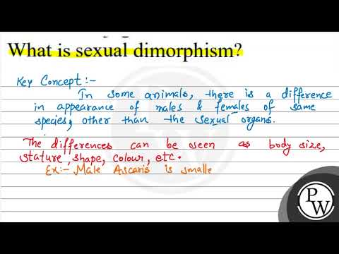 What is sexual dimorphism? - YouTube
