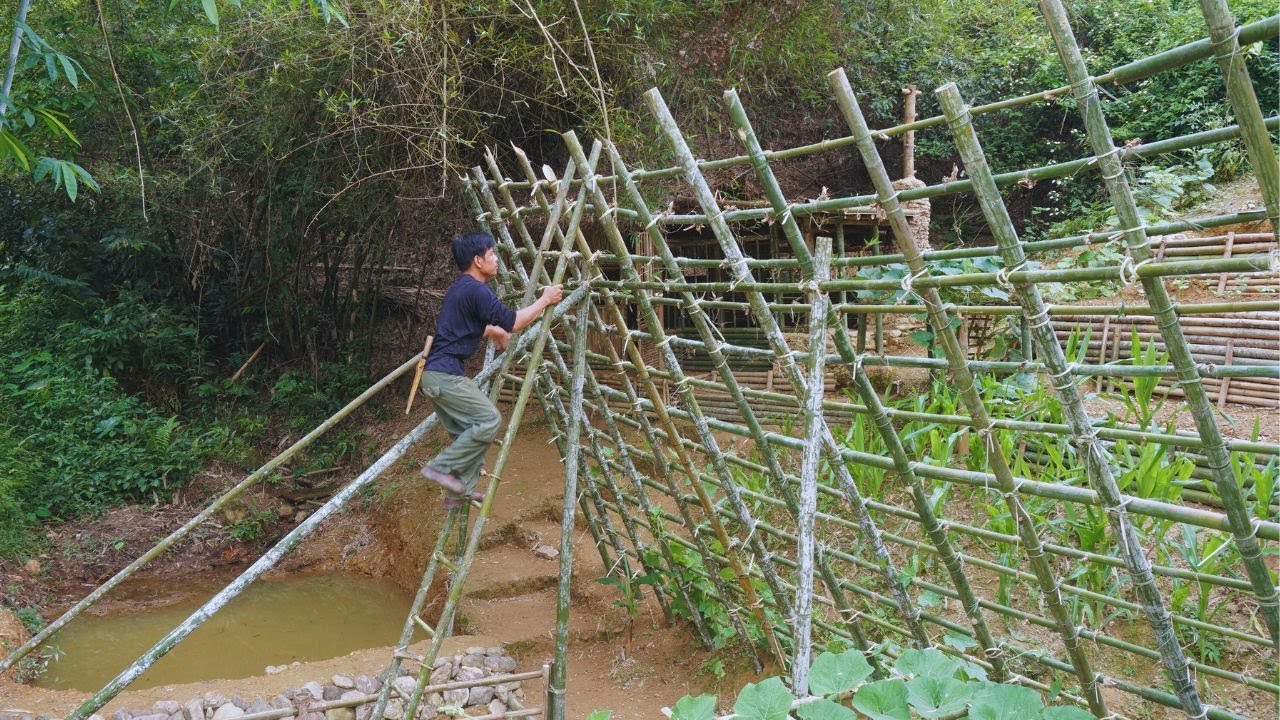 Full Video: Build a garden on a slope. Weave primitive bamboo traps to ...