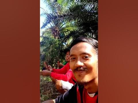 detik.detik amblasnya trek muwat buwa sawit - YouTube
