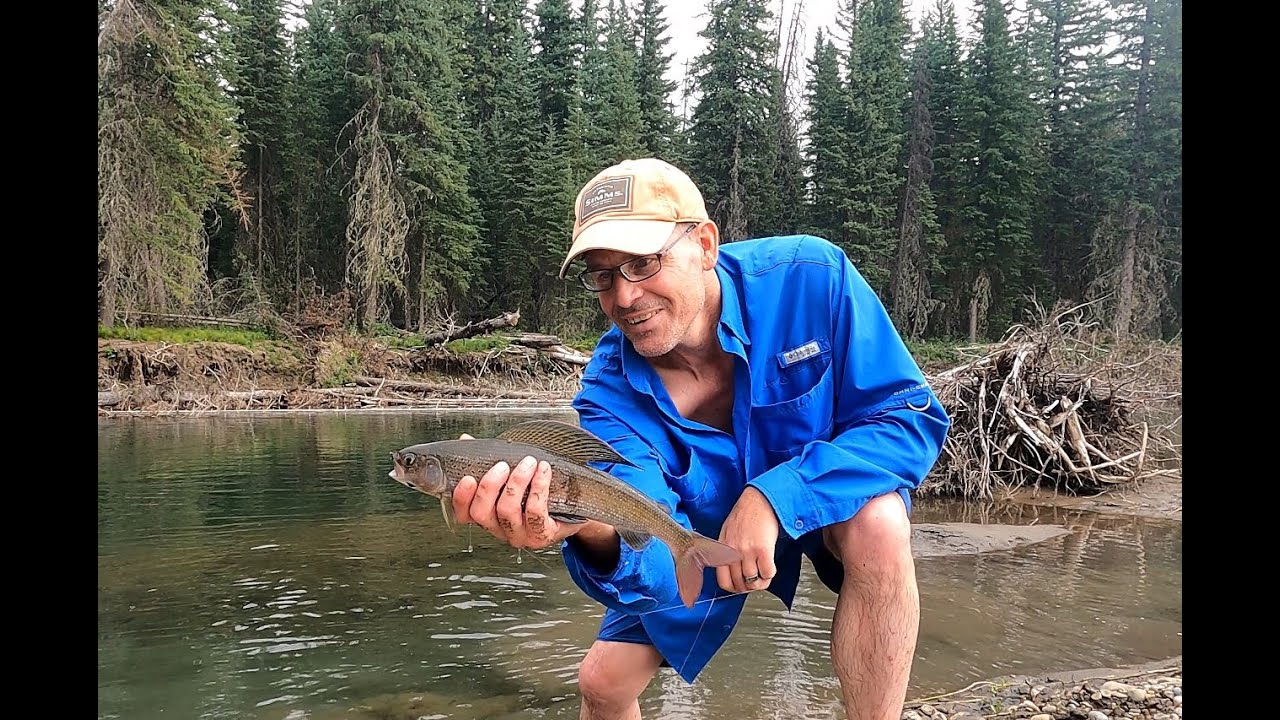 Wildhay River Flyfishing/Canoeing Trip - YouTube