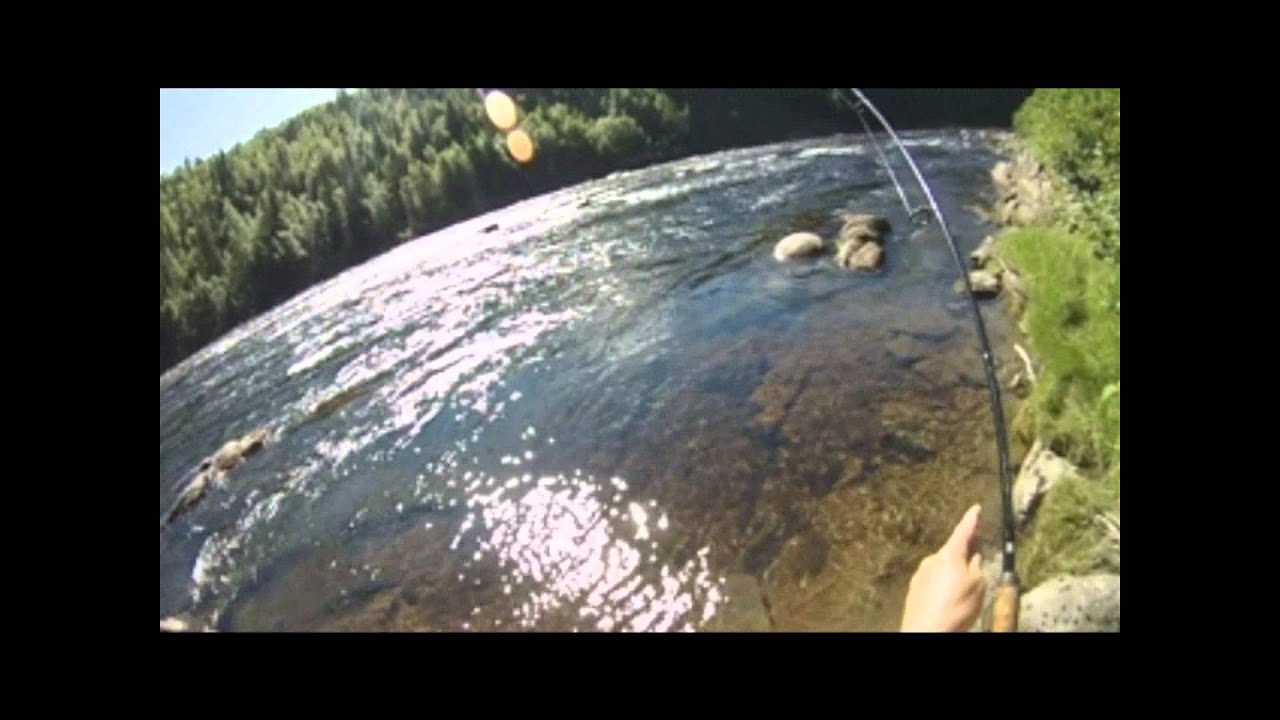 gaula laks 116 cm - YouTube