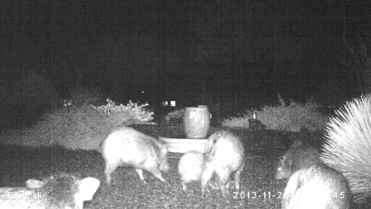 They keep coming, and coming, and coming. - YouTube