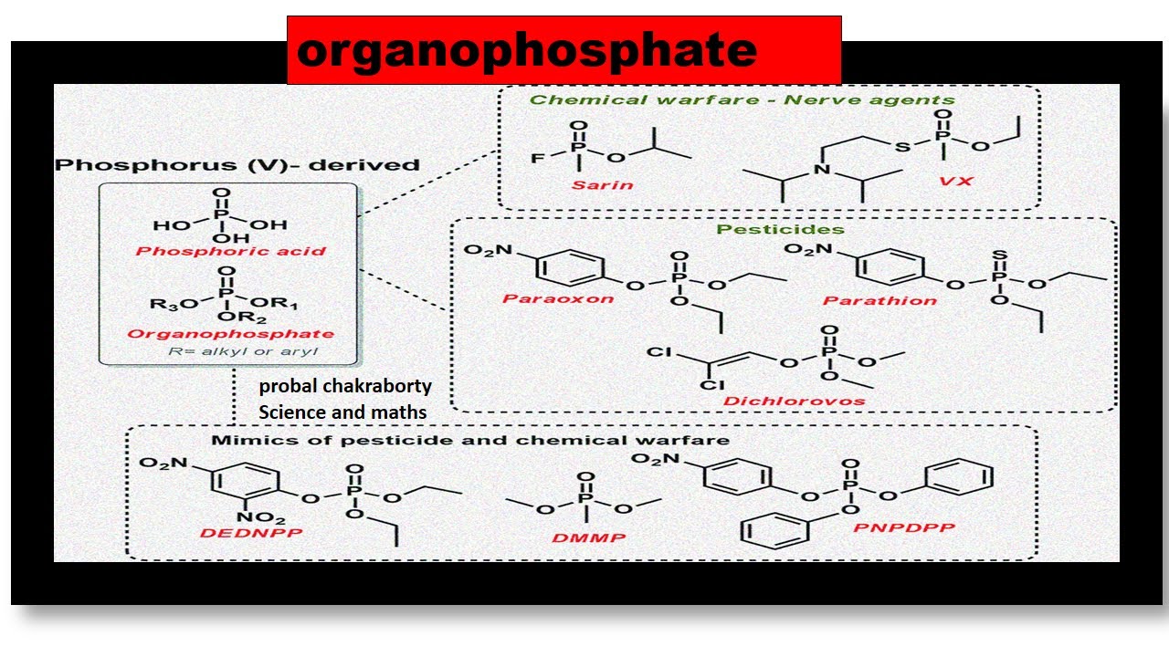 Organophosphate: for quick learning - YouTube