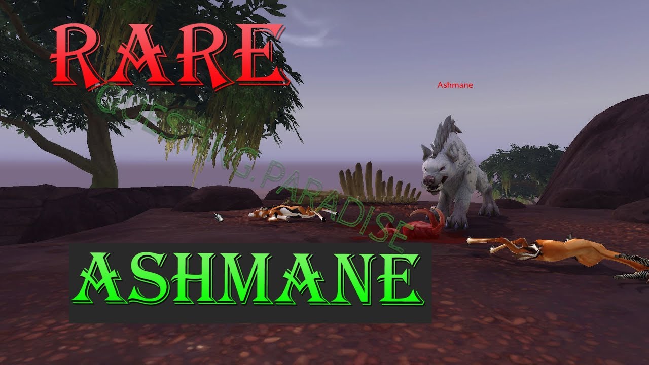RARE - Ashmane - Vol'dun - Battle for Azeroth - Wow - YouTube