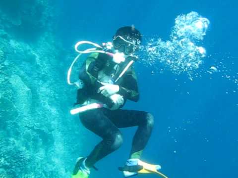 Great diving boy - YouTube