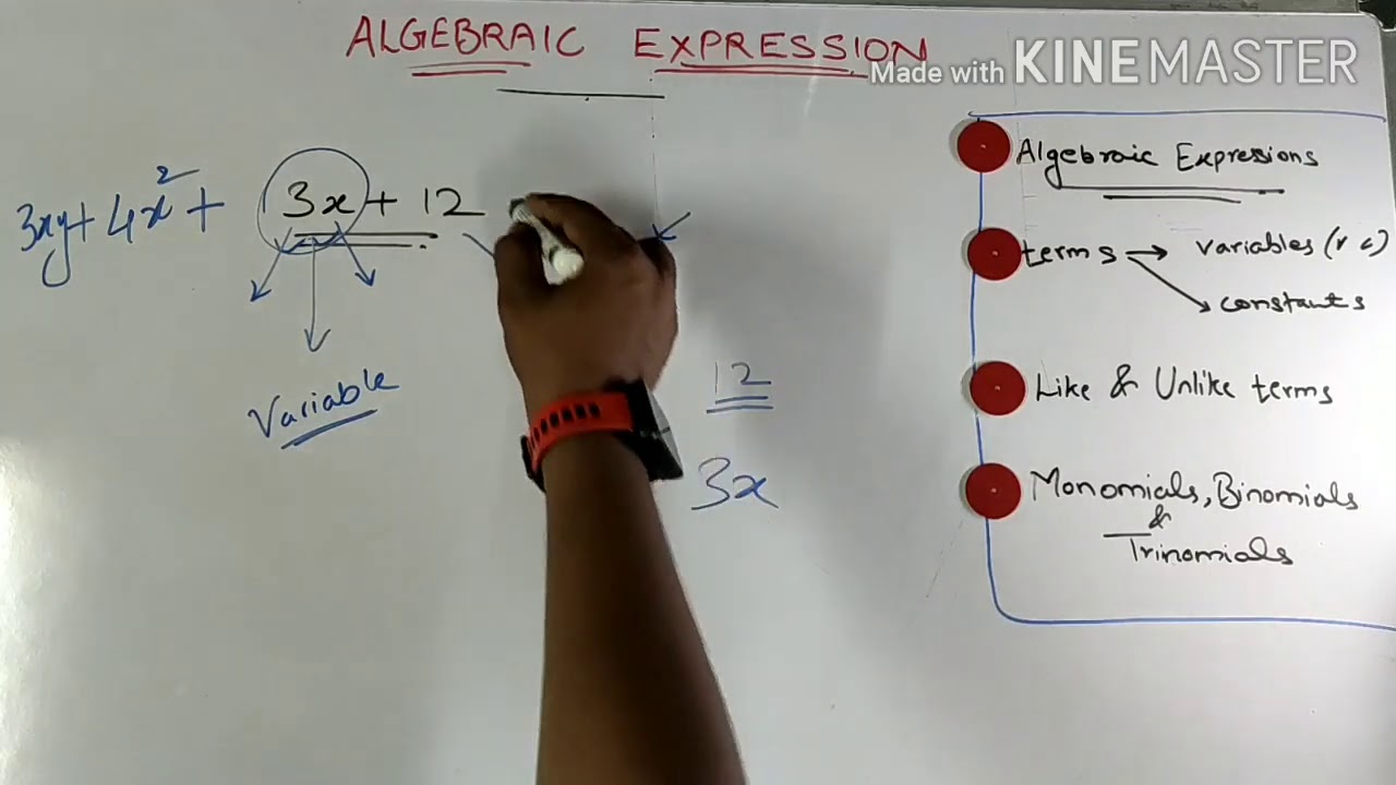 Algebraic expressions (Intro) ICSE Grade 8th: Math - YouTube