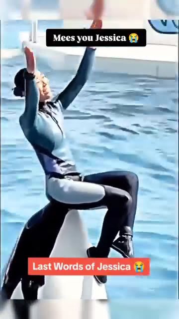 jessica and dolphin 🐬 #viralvideo #sad #emotional #shortfeed #trending ...